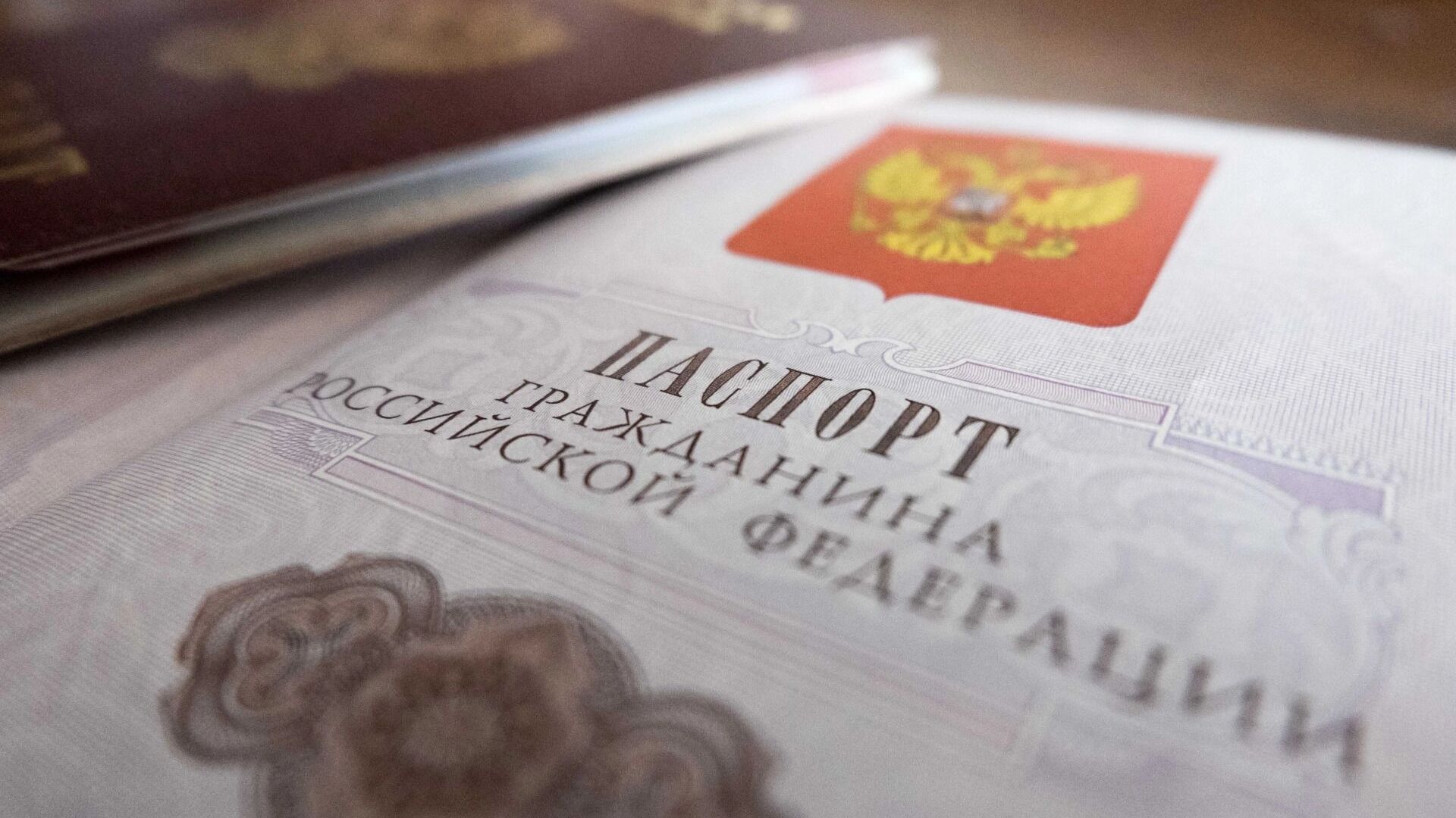 QR-код вместо паспорта: как предъявить паспорт через телефон — Новости ...